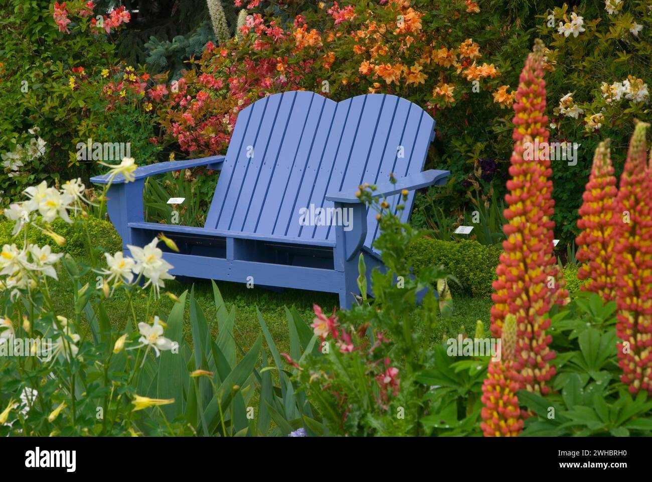 Display Garden bench, Schreiners Iris Gardens, Keizer, Oregon Stock ...
