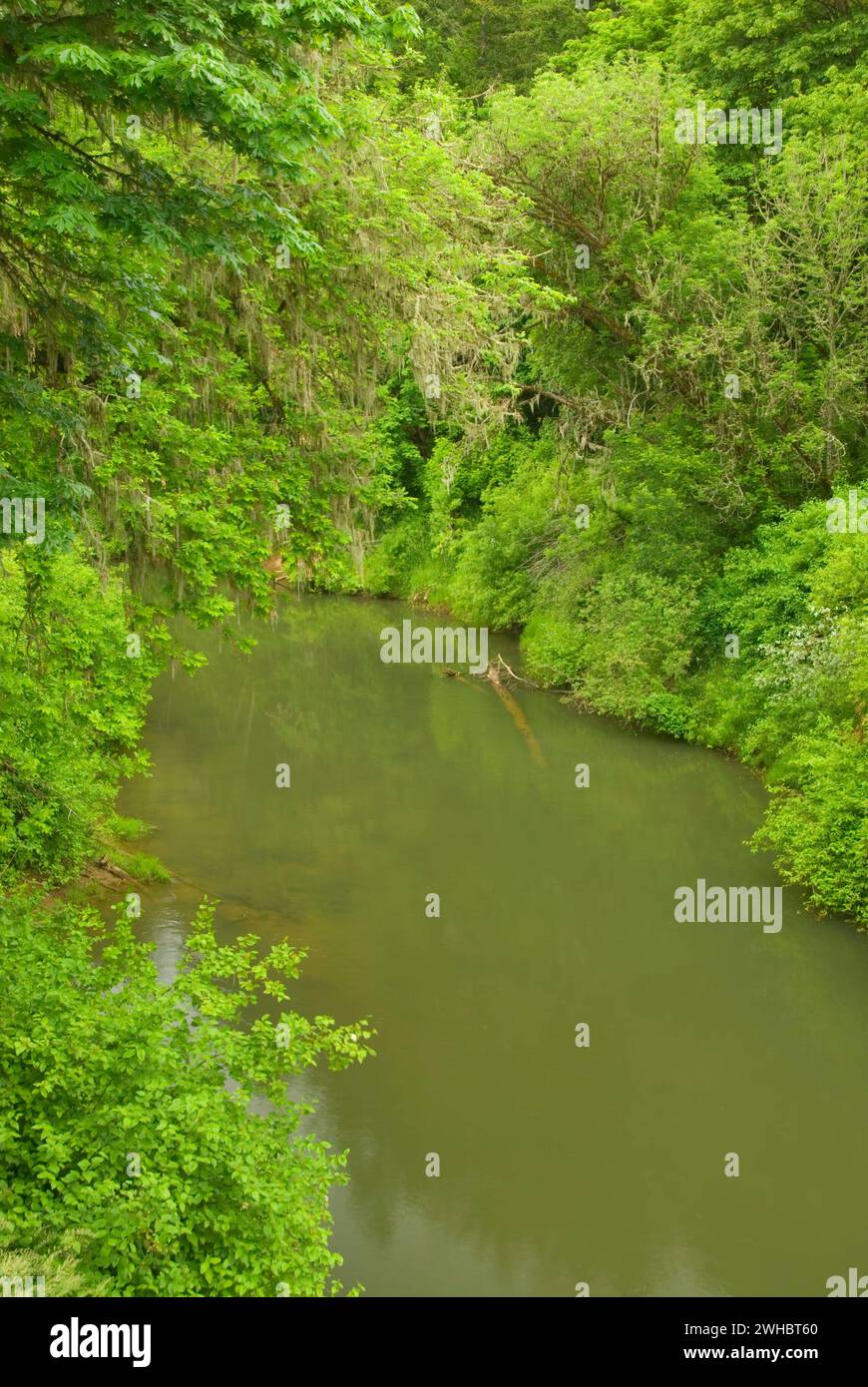 Luckiamute River, Sarah Helmick State Park, Oregon Stock Photo - Alamy