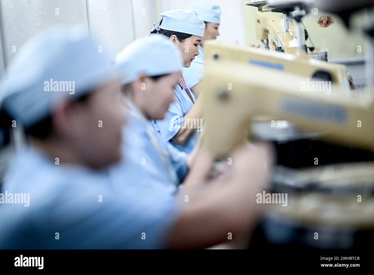 08 February 2024, Mongolia, Ulan Bator: Workers at the Munkh Cashmere ...