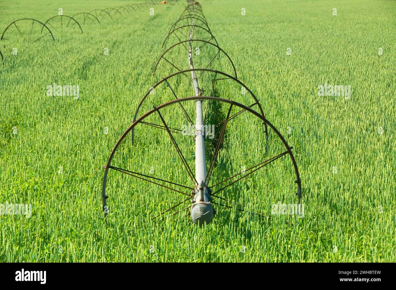 Irrigation pipe hi-res stock photography and images - Alamy
