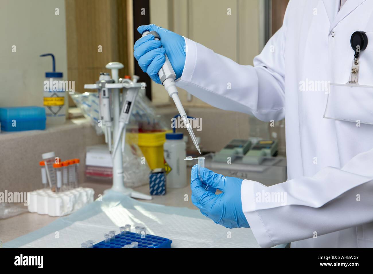 Dripping liquid from pipette into test tube in laboratory, closeup ...