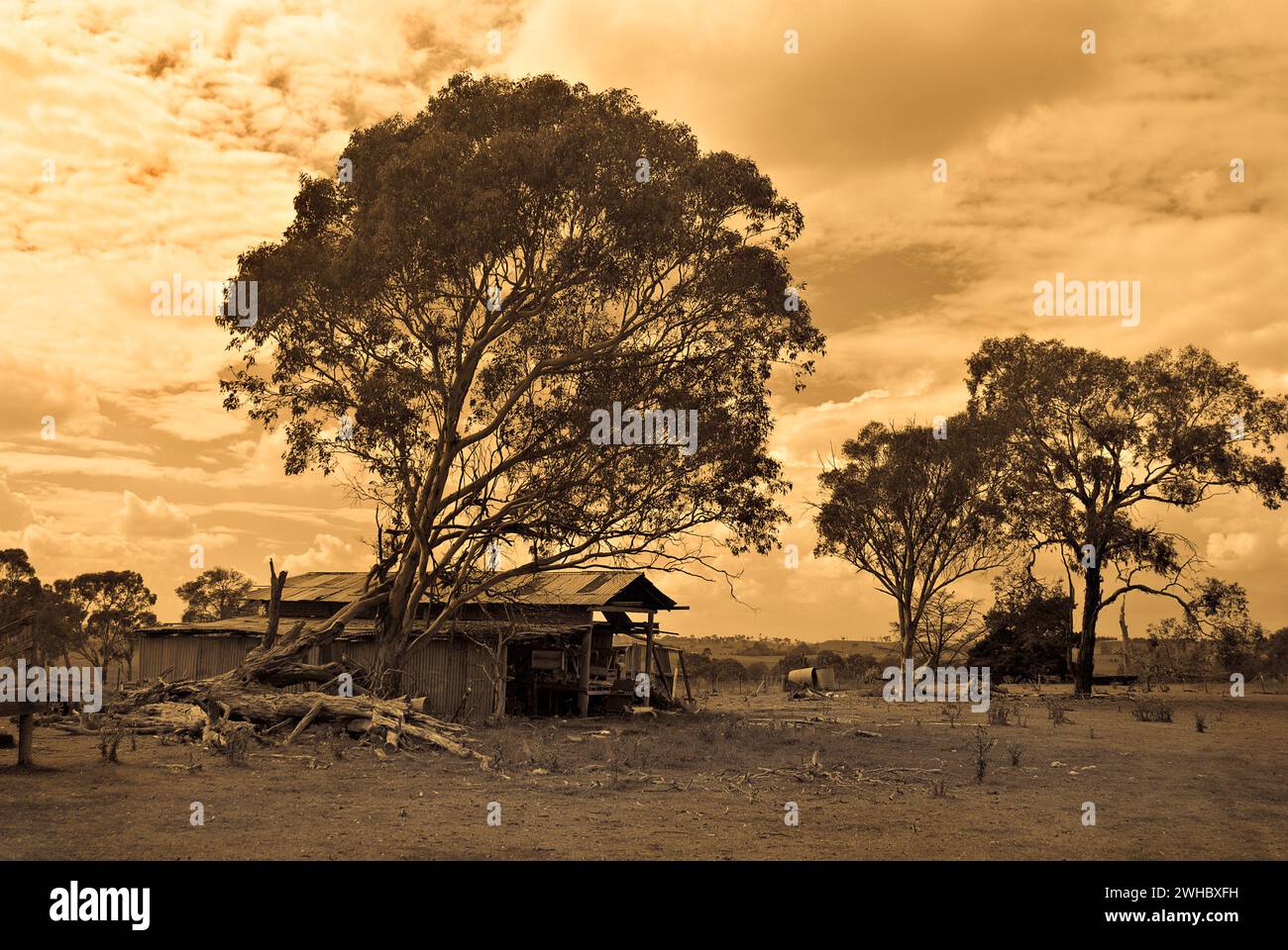 Sepia style image of an old farm in disrepair with falling down shed ...
