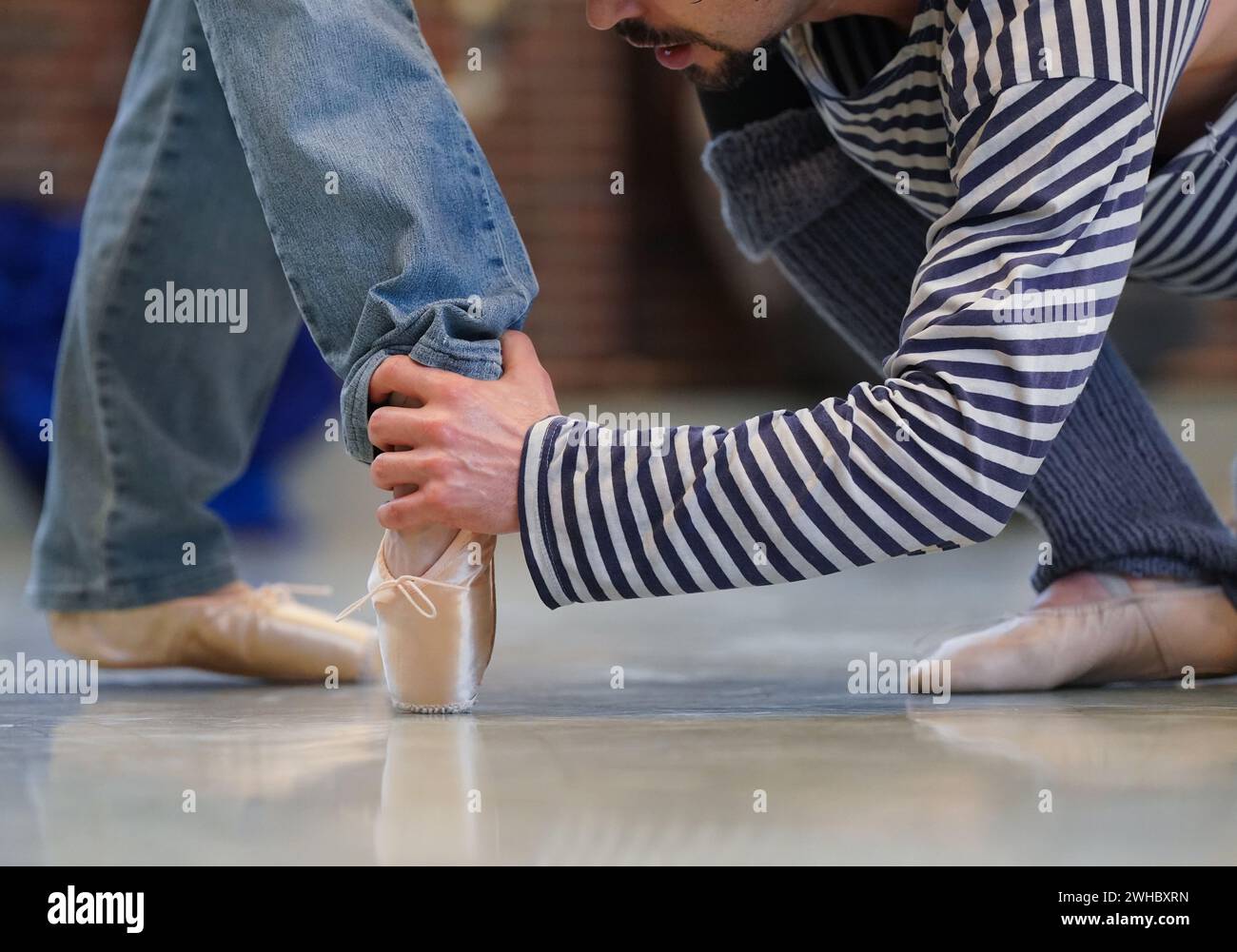 Calypso odysseus hi-res stock photography and images - Alamy