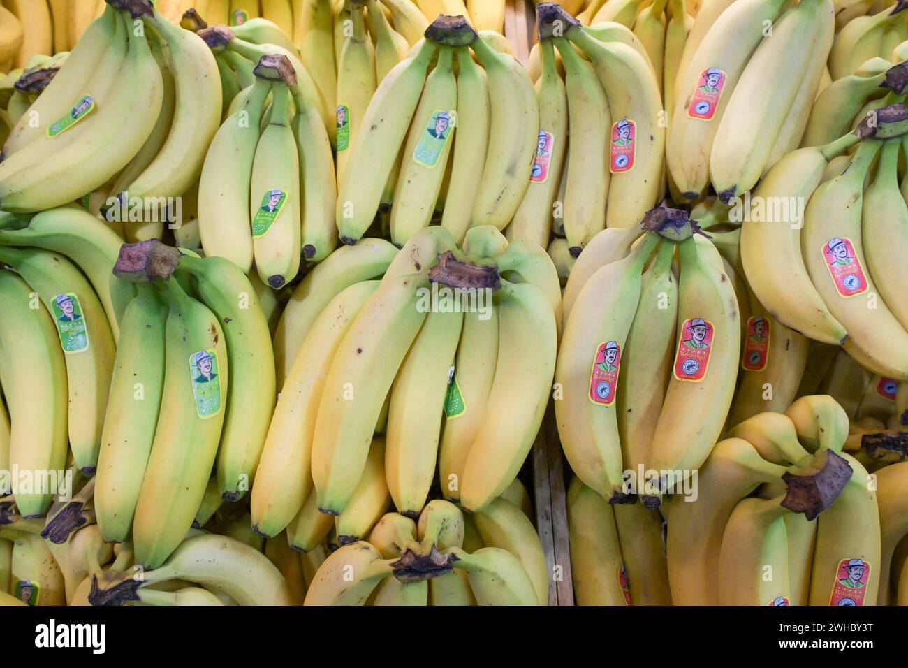 Berlin, Deutschland 07.- 09. Februar 2024: Fruit Logistica - 2024 Im ...