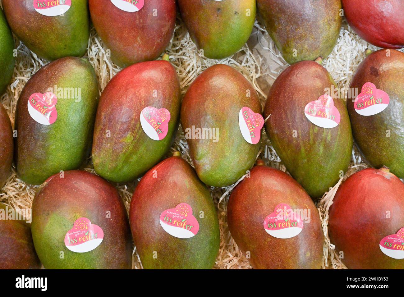 Berlin, Deutschland 07.- 09. Februar 2024: Fruit Logistica - 2024 Im ...