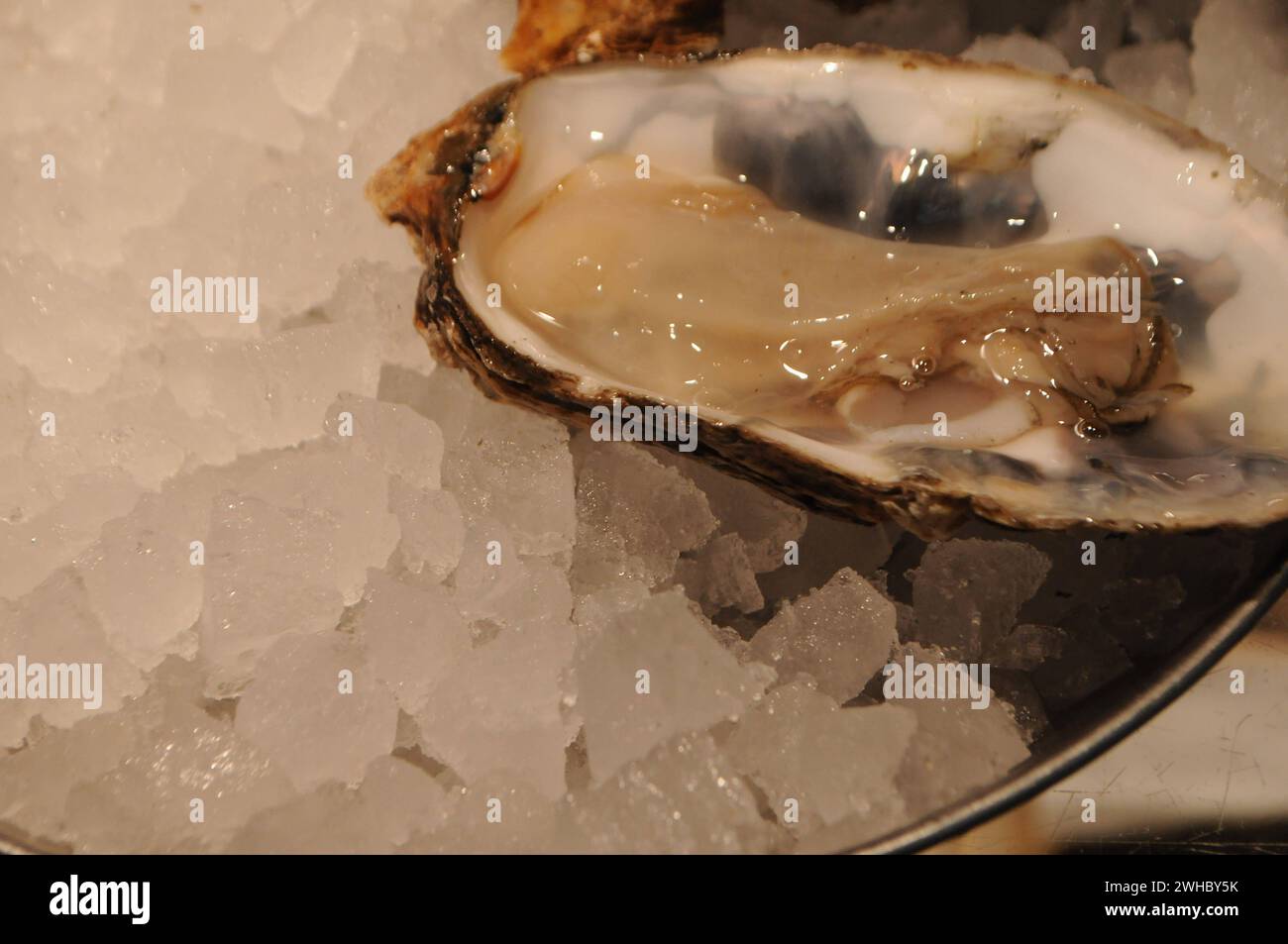 Copenhagen, Denmark/09 February 2024/Oyster &.Sea food dish are on sale ...