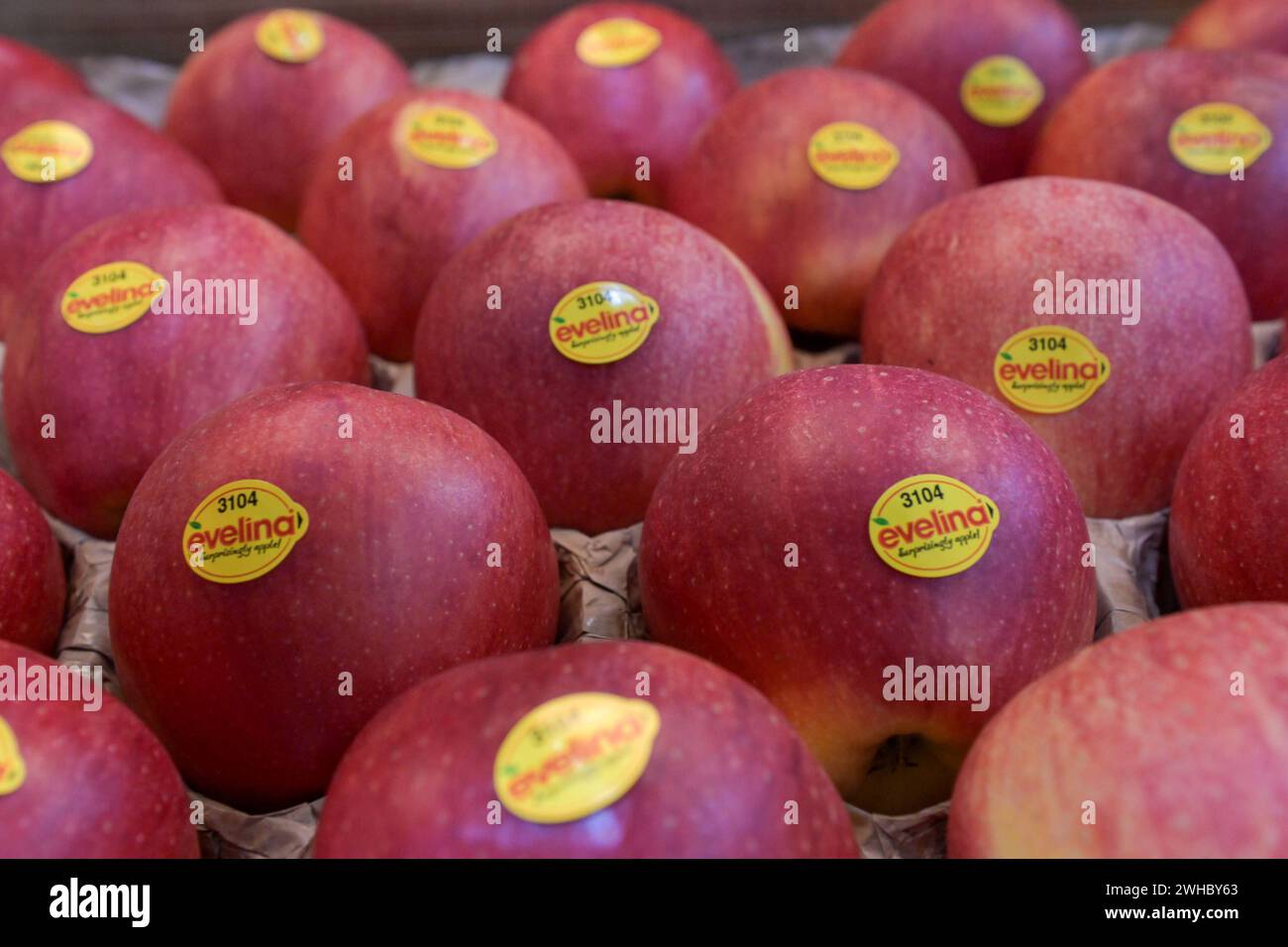Berlin, Deutschland 07.- 09. Februar 2024: Fruit Logistica - 2024 Im ...