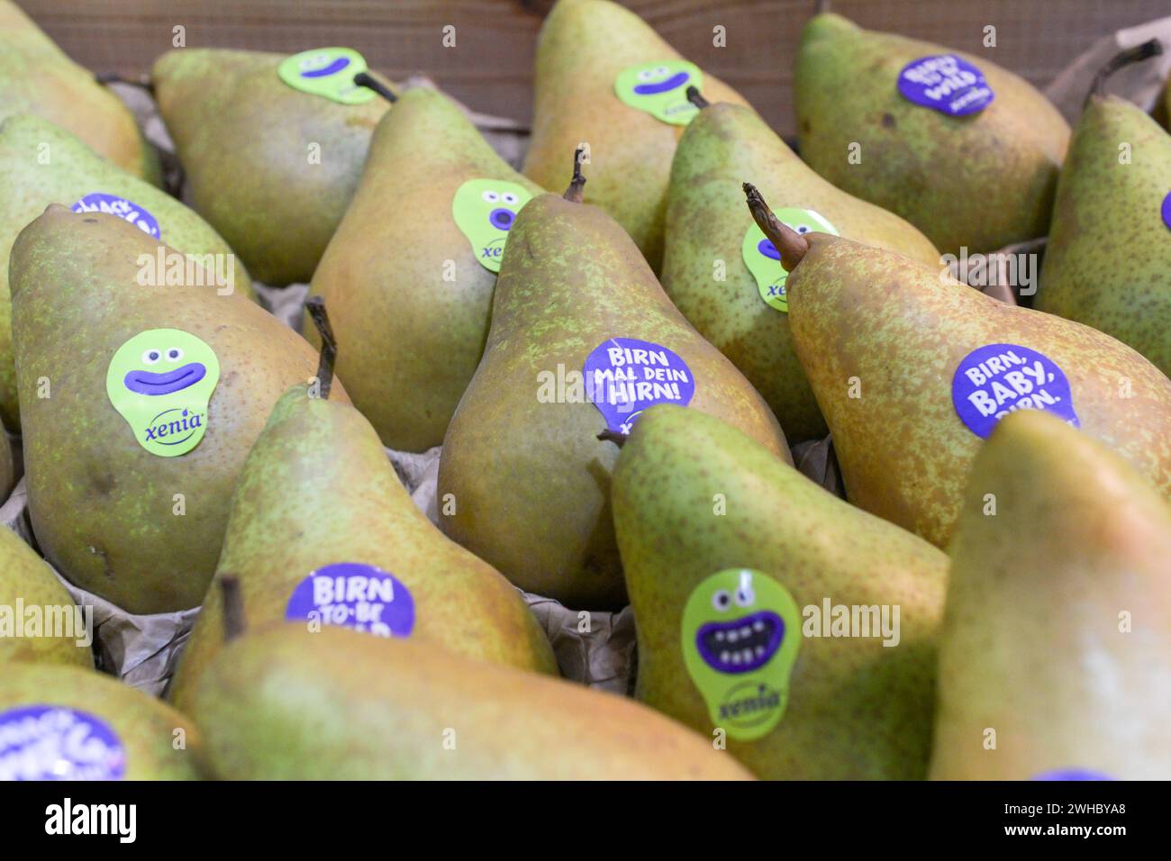 Berlin, Deutschland 07.- 09. Februar 2024: Fruit Logistica - 2024 Im ...