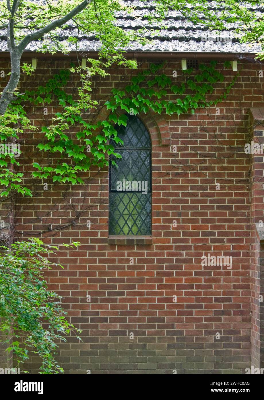 Vine covered church building Stock Photo - Alamy