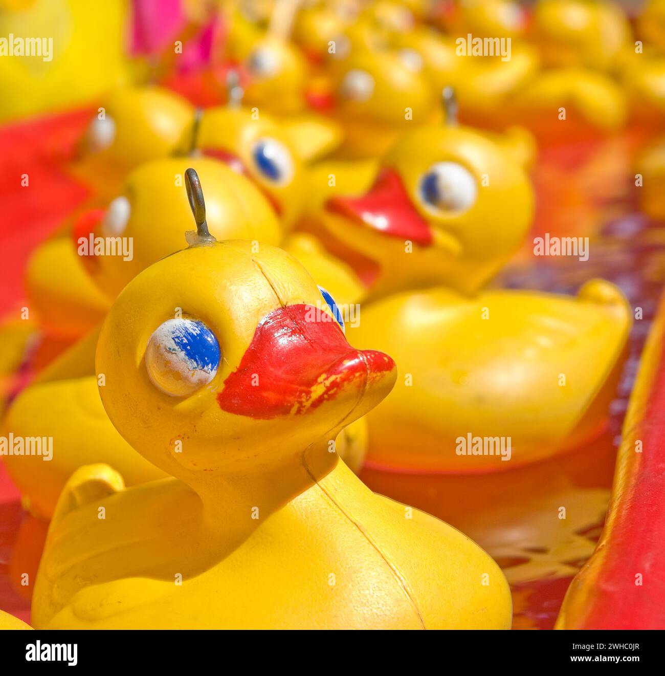 Group yellow rubber duck hi-res stock photography and images - Alamy