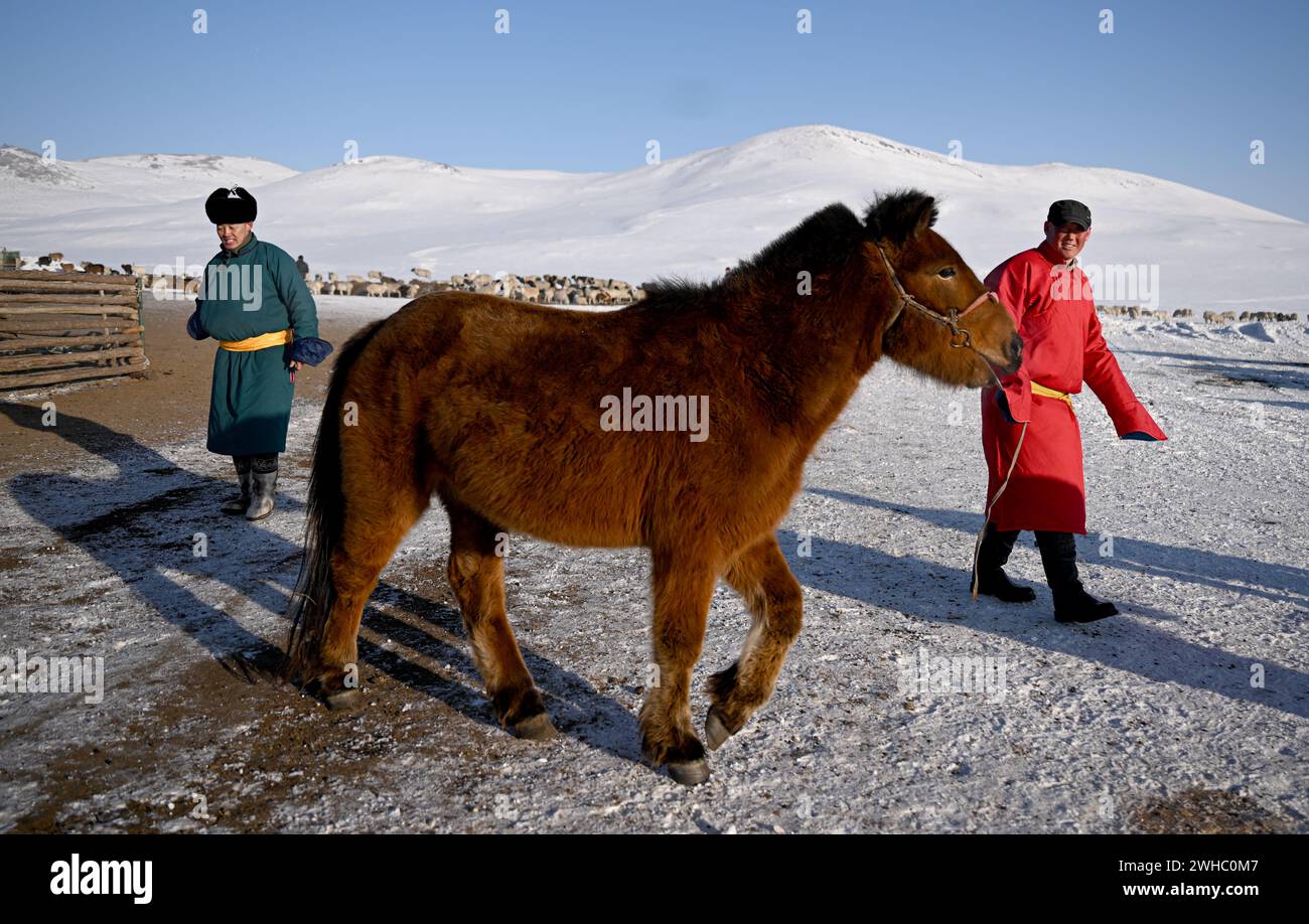 Tuv Aimak, Mongolia. 08th Feb, 2024. Nomads with horse. Credit: Britta ...