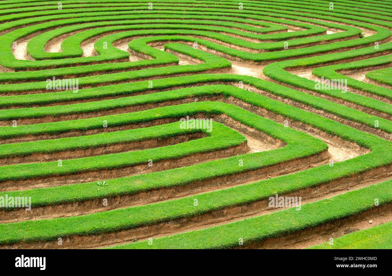 Maze hedge pattern labyrinth hi-res stock photography and images - Alamy
