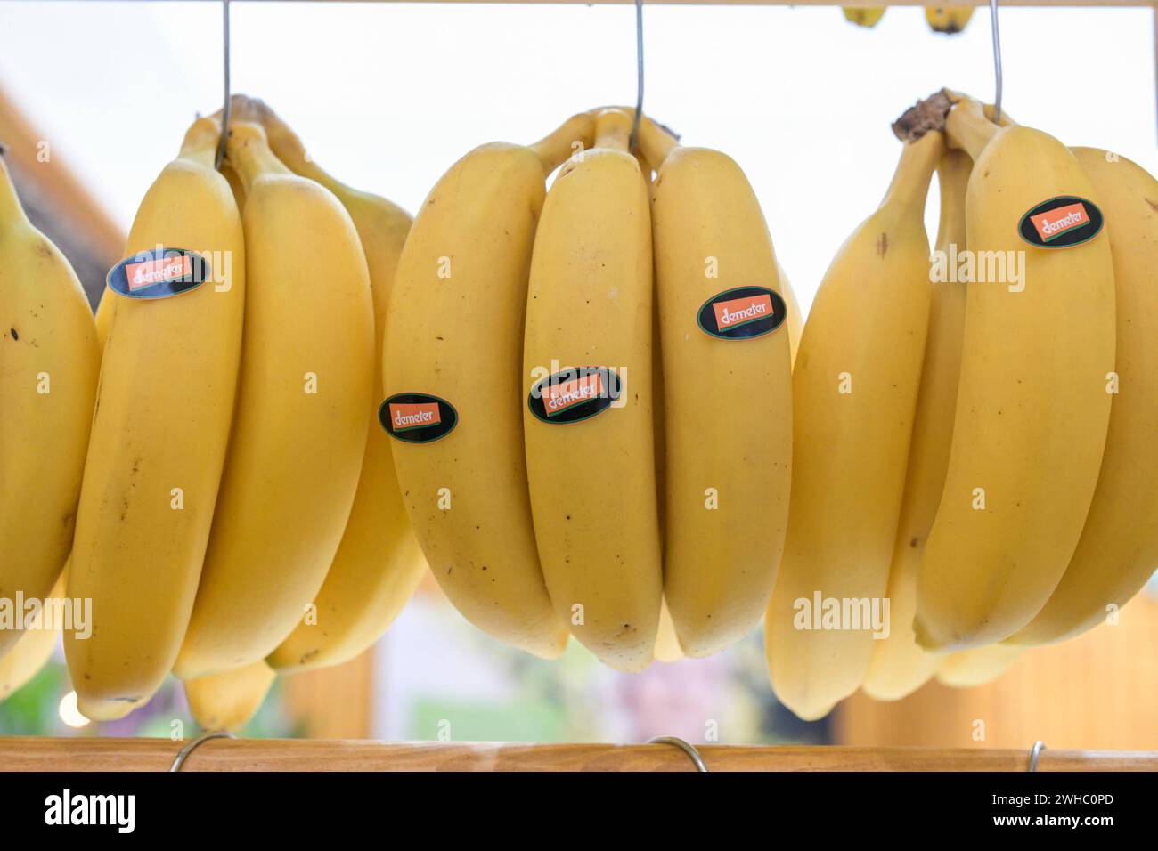 Berlin, Deutschland 07.- 09. Februar 2024: Fruit Logistica - 2024 Im ...