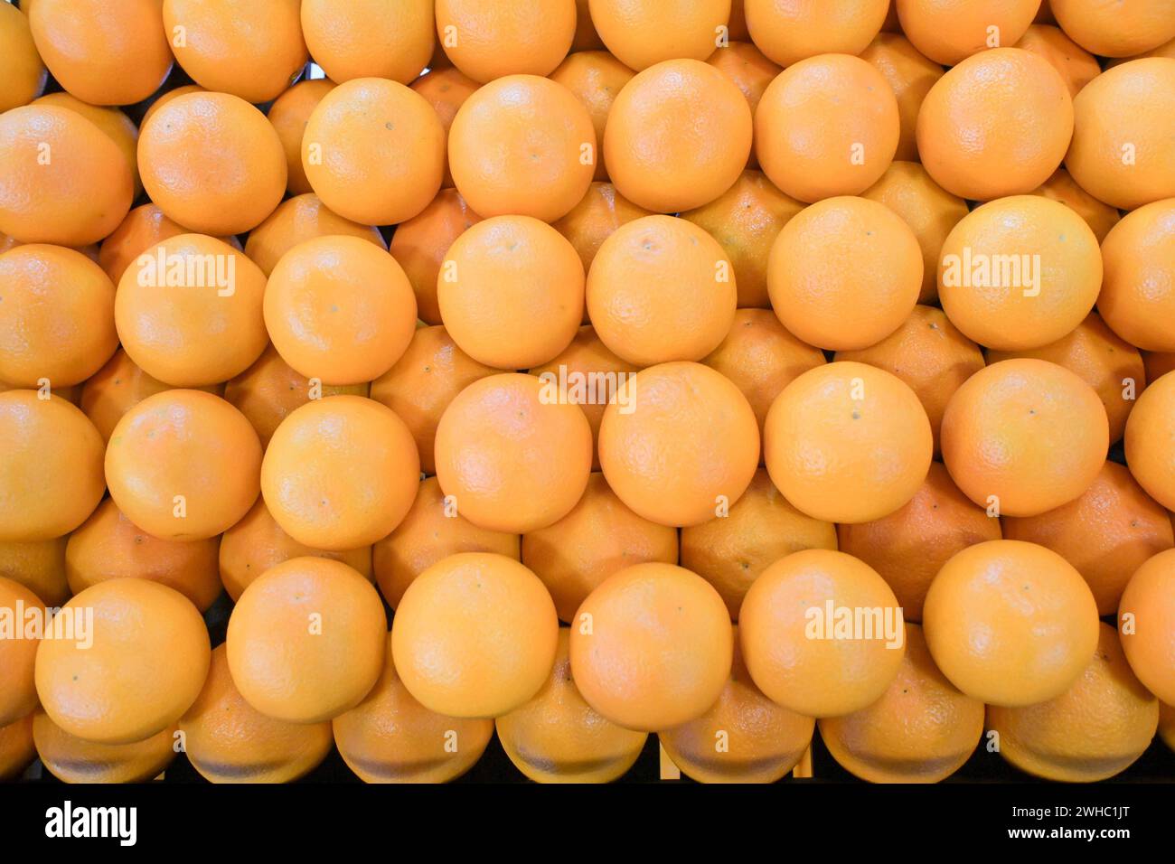 Berlin, Deutschland 07.- 09. Februar 2024: Fruit Logistica - 2024 Im ...