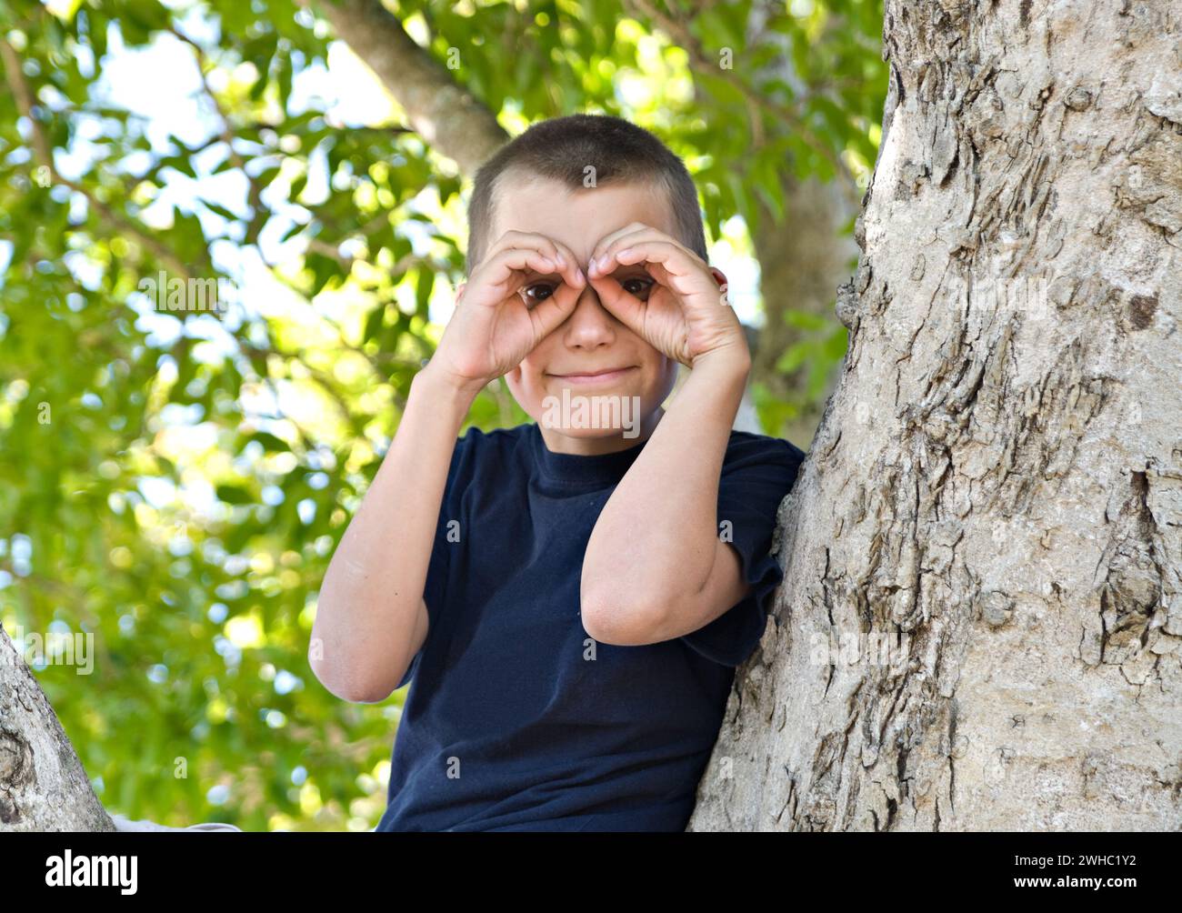 Boy in a tree Stock Photo - Alamy