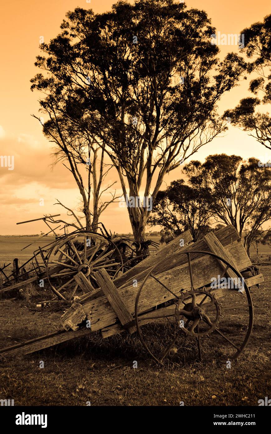 Old carts on the farm Stock Photo - Alamy