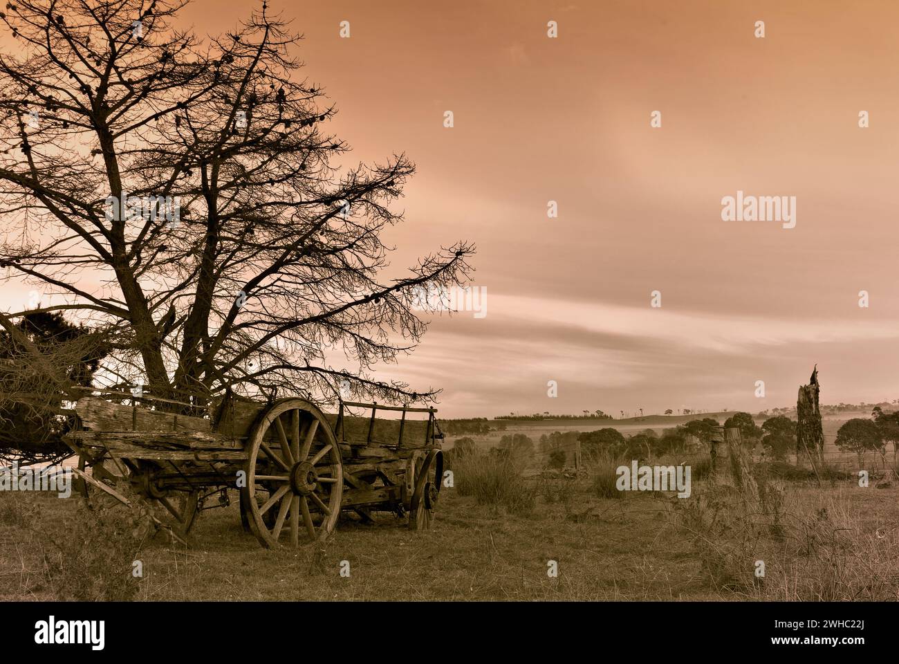 Old cart hi-res stock photography and images - Alamy
