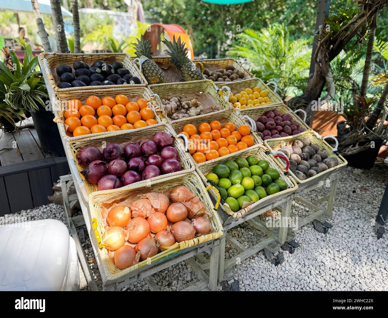 Tropical fruits stand at the farmer's market. Healthy produce Stock ...