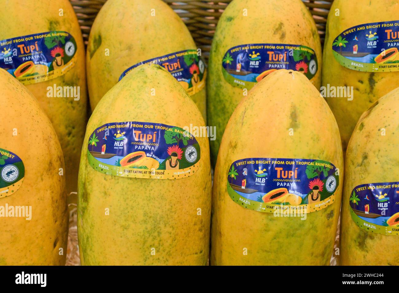 Berlin, Deutschland 07.- 09. Februar 2024: Fruit Logistica - 2024 Im ...