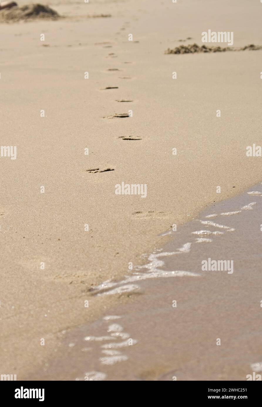 Sandy walking trail hi-res stock photography and images - Alamy