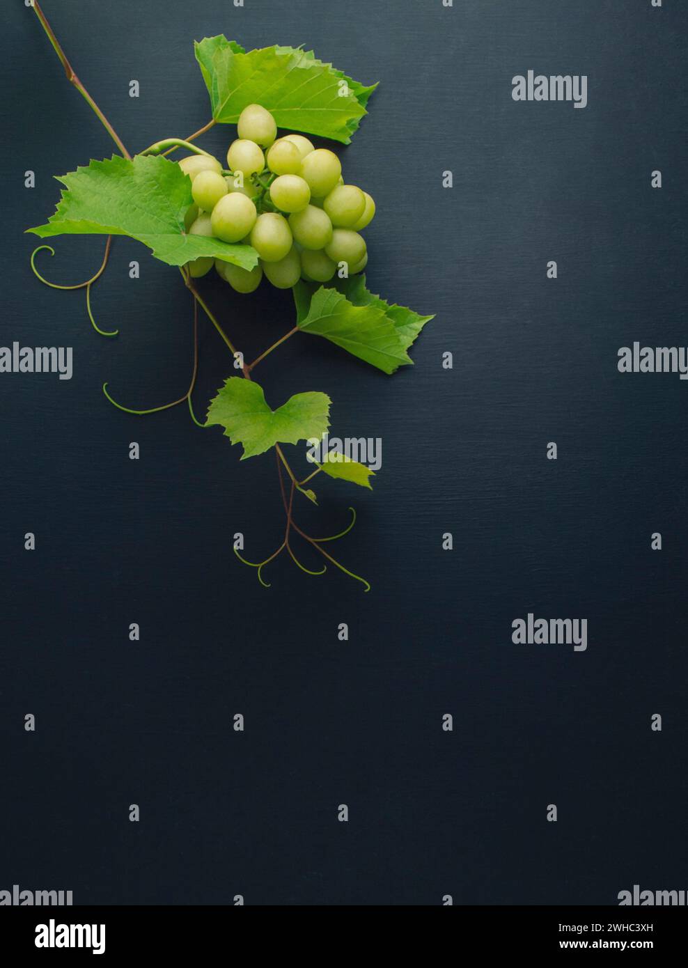 A bunch of grapes . Agriculture and winemaking concept. grape bunches ...