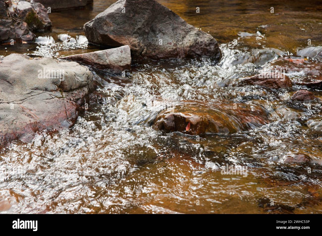 Pure clean environment hi-res stock photography and images - Alamy