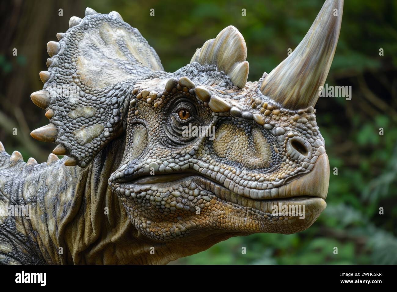 Triceratops portrait herbivorous ceratopsid large massive horn reptile ...