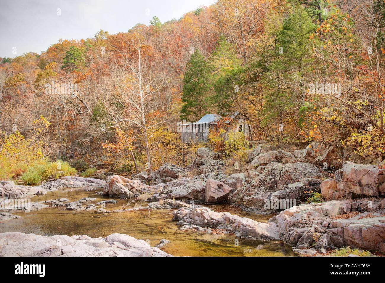Old settlers cain in the forest Stock Photo - Alamy