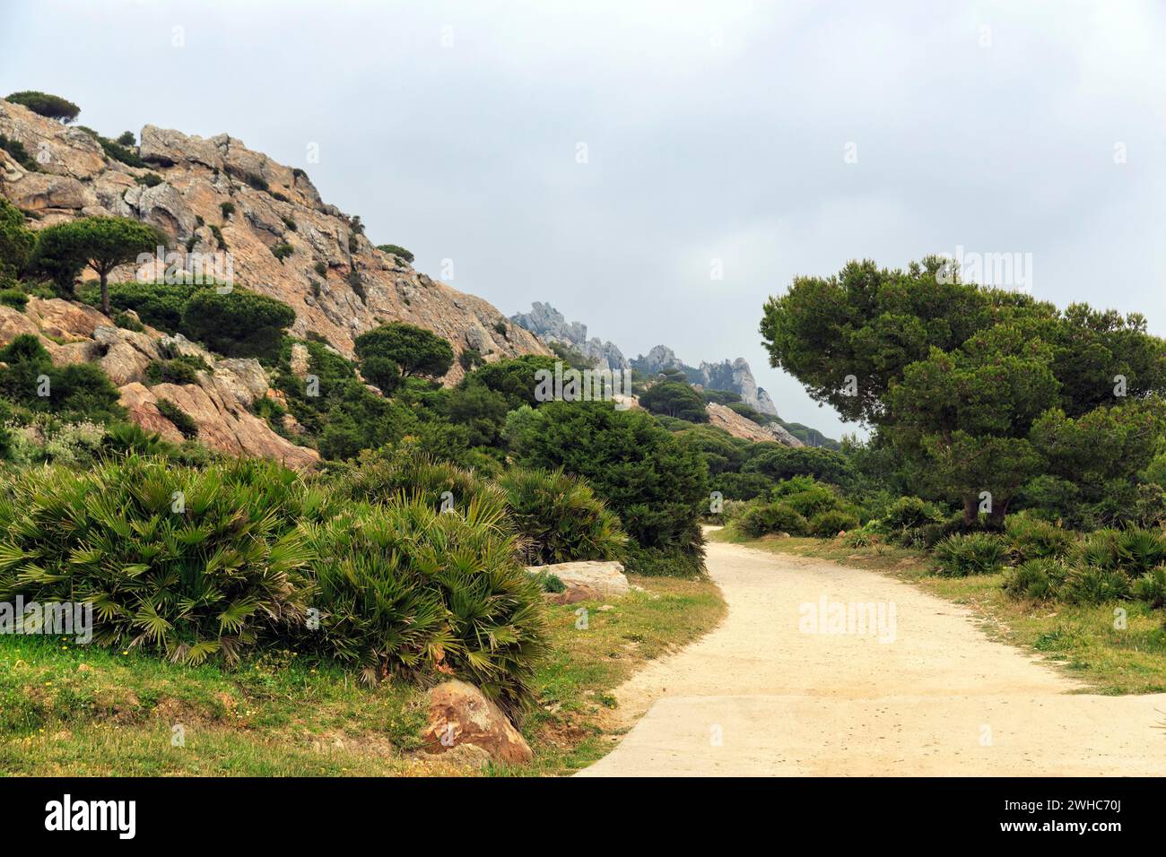Estrecho de gibraltar parque natural hi-res stock photography and ...