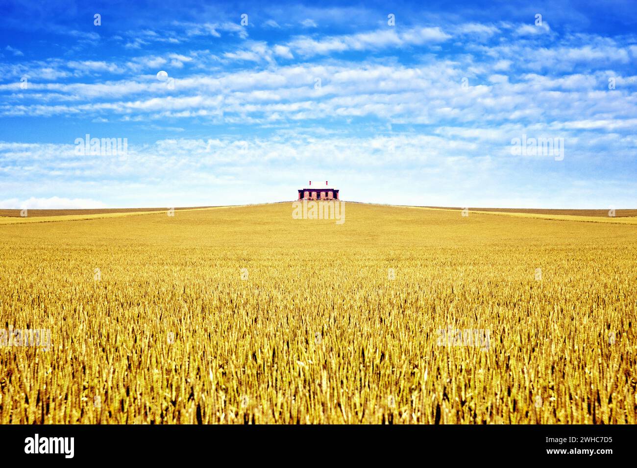 Wheat field and old house hi-res stock photography and images - Alamy