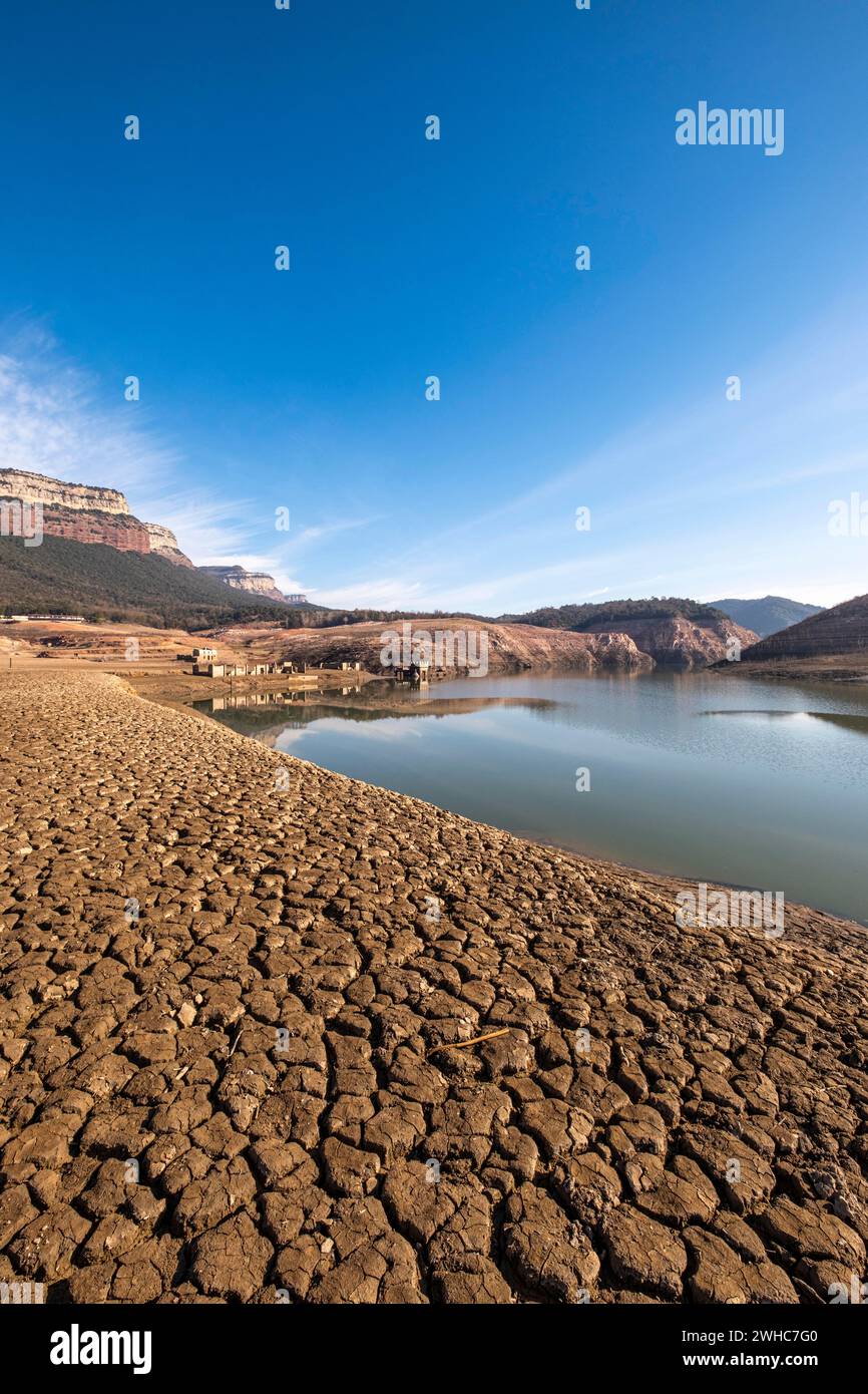 Landscape of ecological tragedy in the Panta de Sau reservoir with four ...