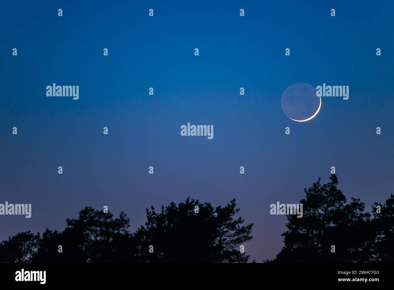 Very narrow, fine crescent moon with visible moon disc stands one day ...