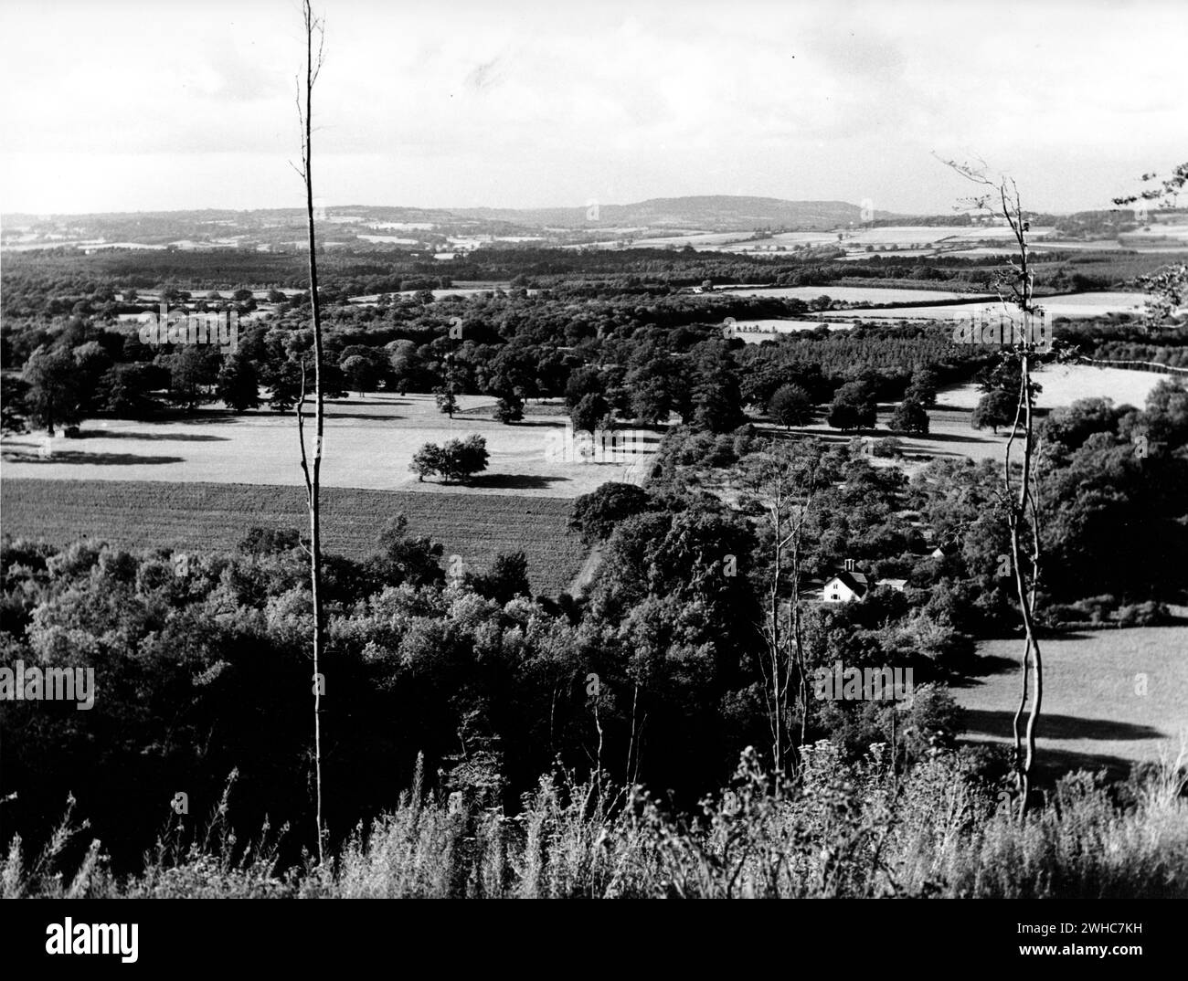 Duncton hill ” hi-res stock photography and images - Alamy