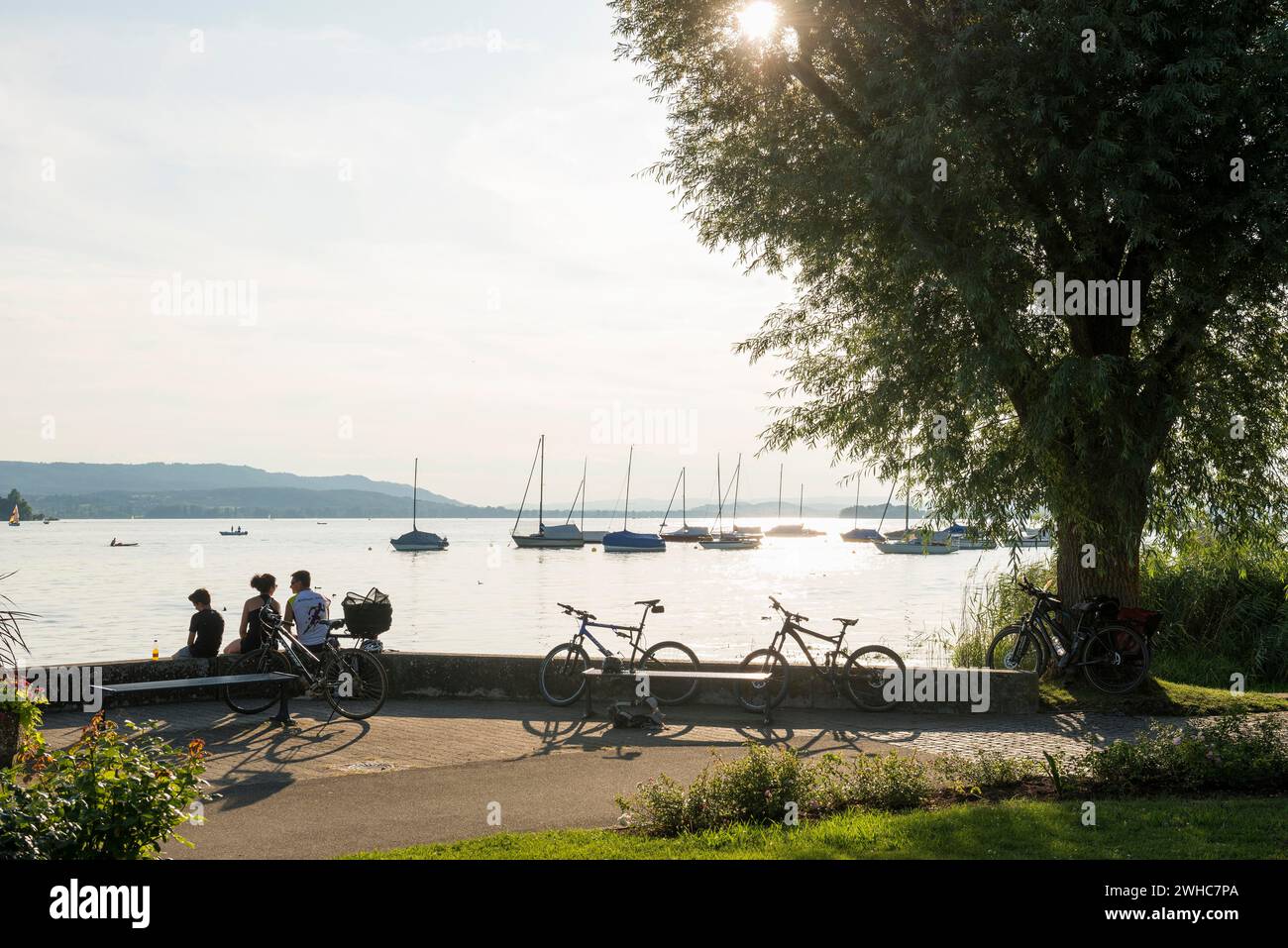 Cyclist, lakeside promenade, Friedrichshafen, Lake Constance, Baden ...