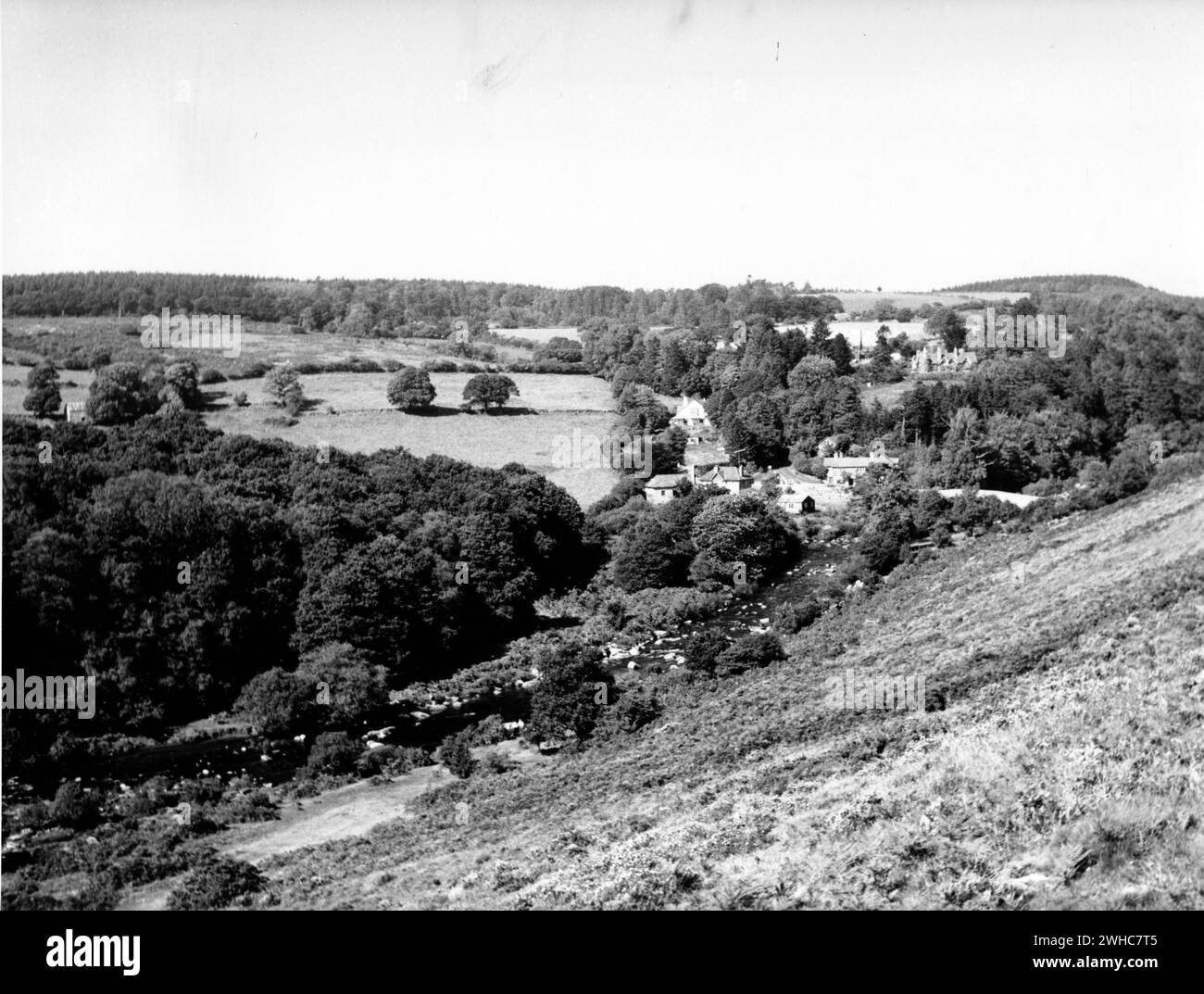 Badgers holt hi-res stock photography and images - Alamy