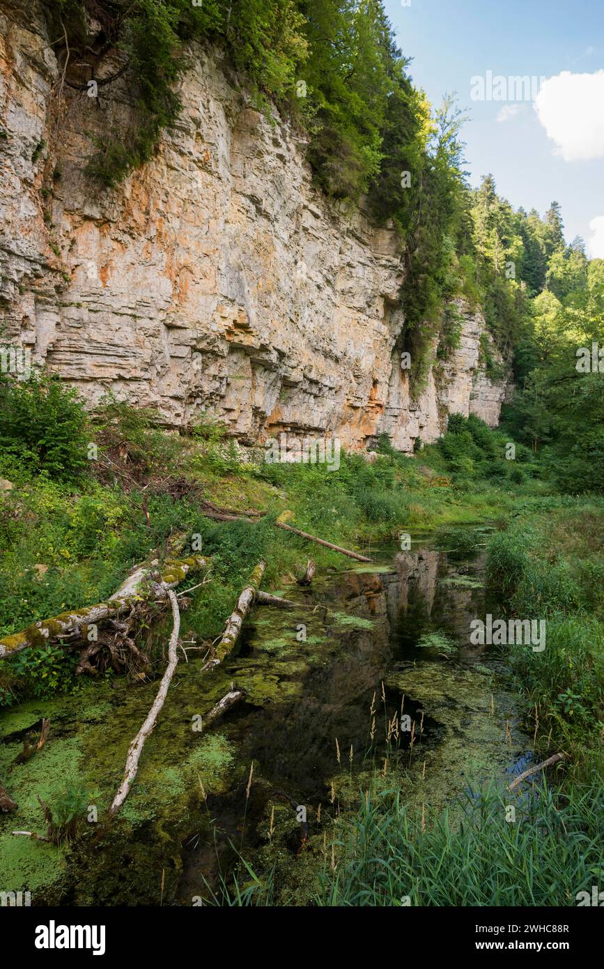 Wutach Gorge, Bonndorf, Baden-Wuerttemberg, Black Forest, Germany Stock ...