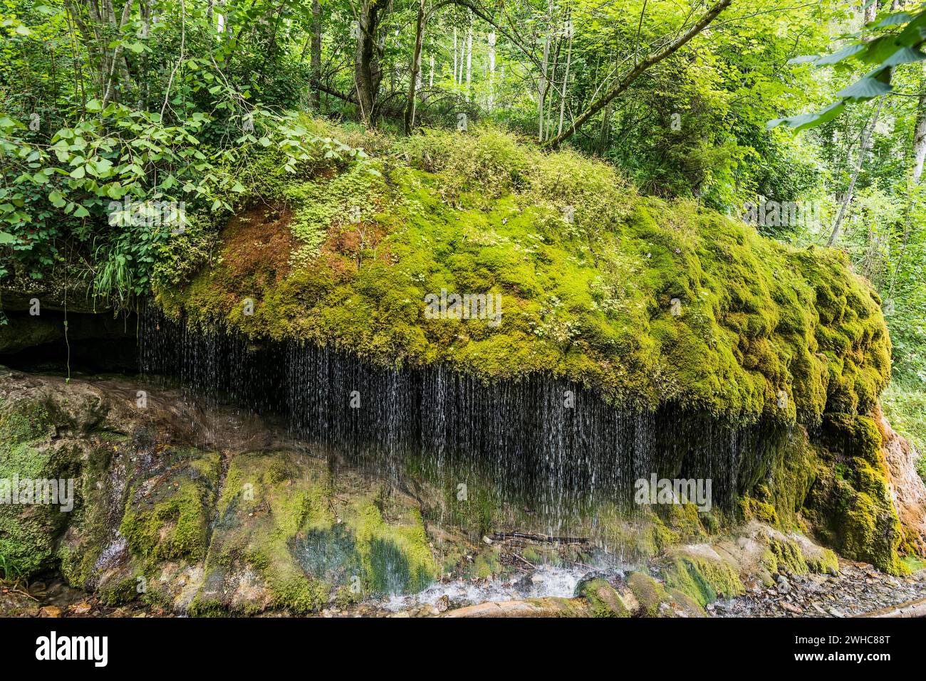 Wutach Gorge, Bonndorf, Baden-Wuerttemberg, Black Forest, Germany Stock ...