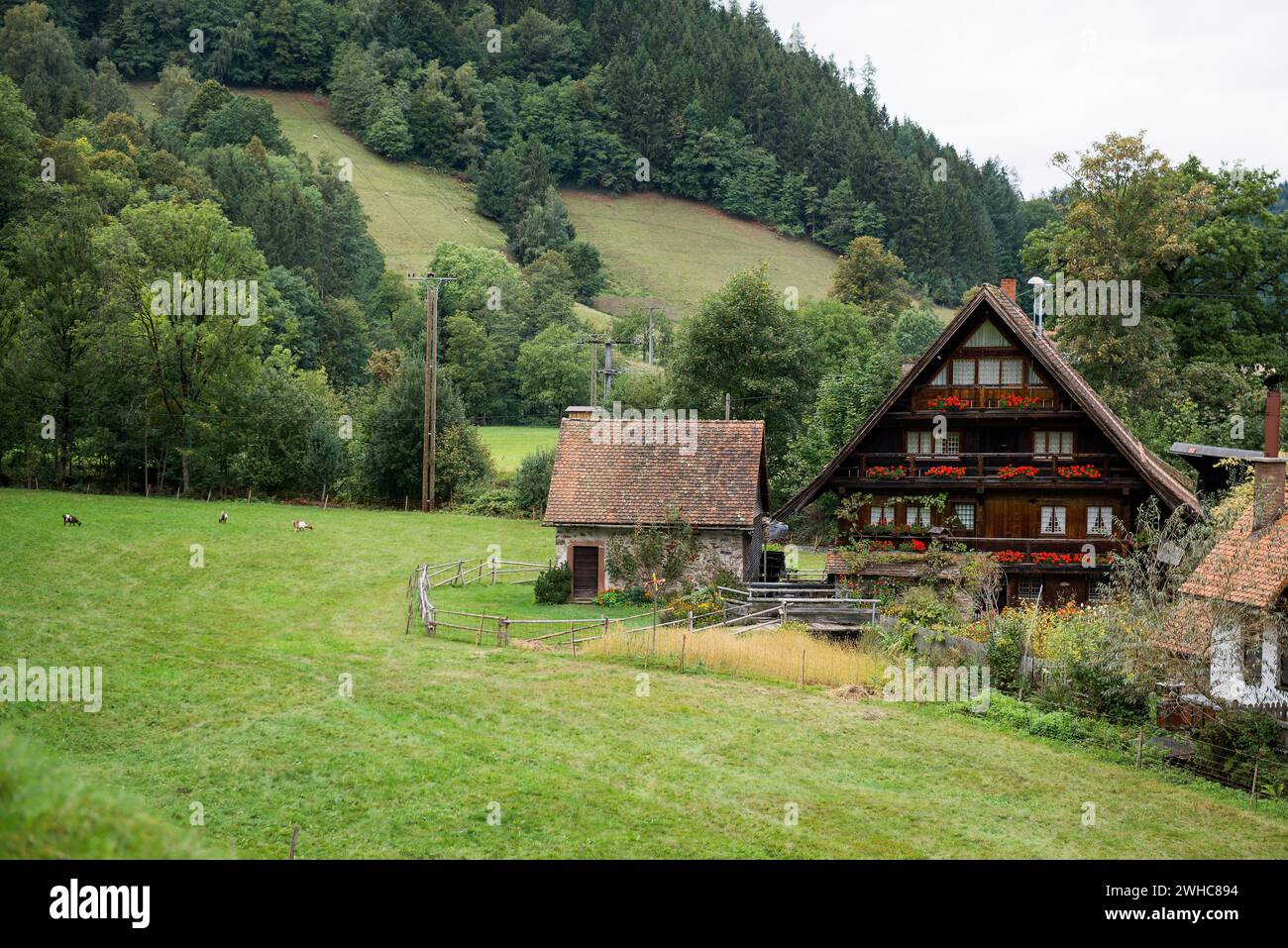 Oil mill, Simonswald, Baden-Wuerttemberg, Black Forest, Germany Stock ...