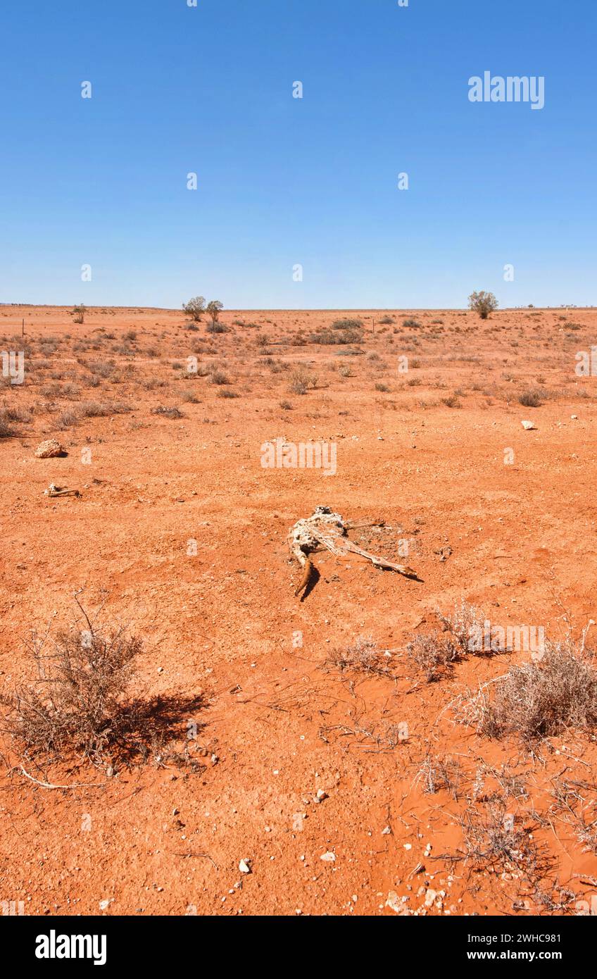Red desert hi-res stock photography and images - Alamy