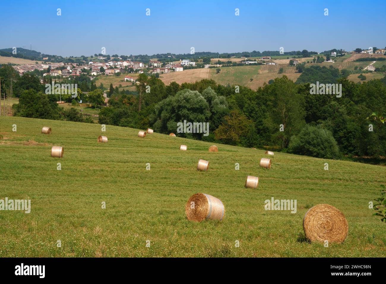 Country landscape near Gildone and Jelsi, Campobasso province, Molise ...