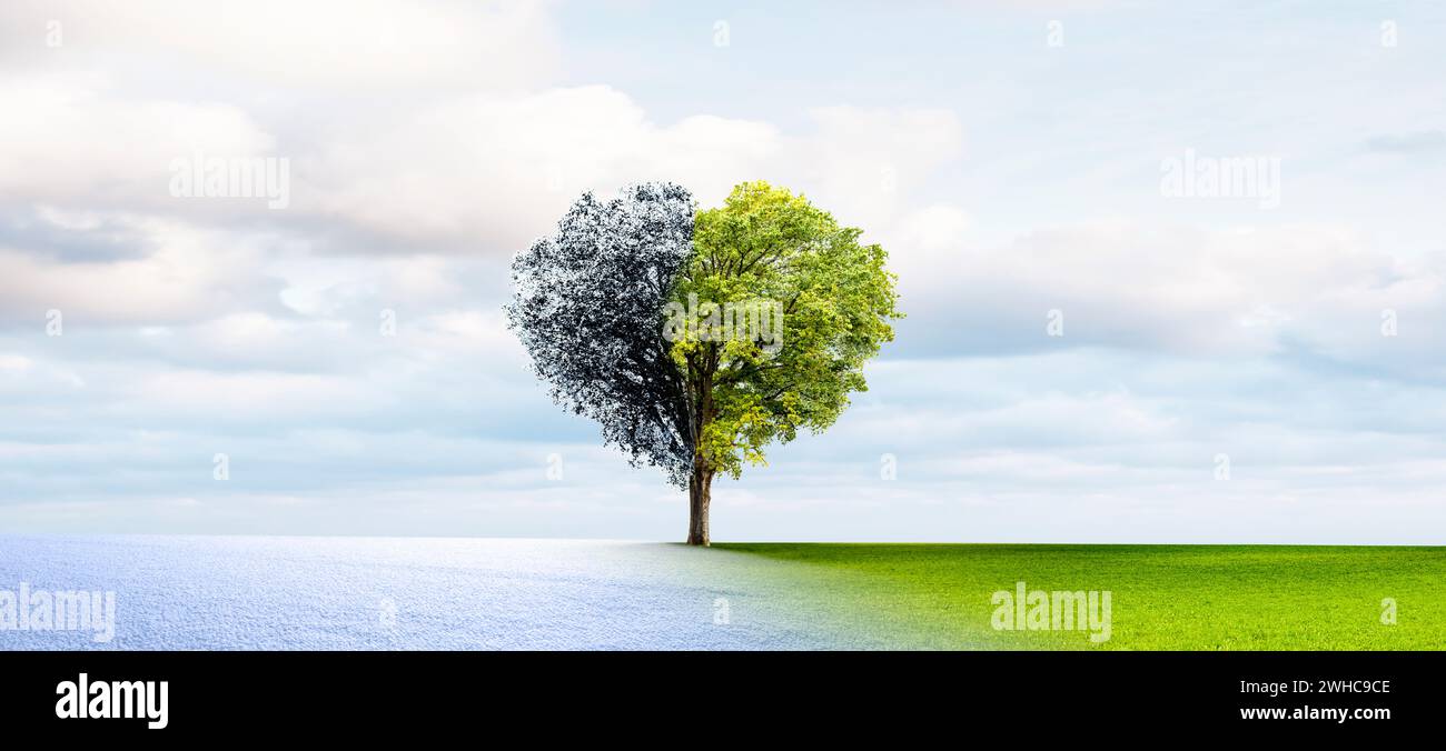 Seasons summer summertime hi-res stock photography and images - Alamy