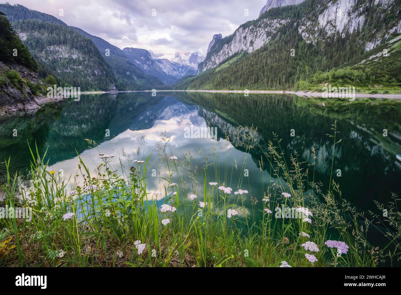 Dachstein spring gosau austria hi-res stock photography and images - Alamy