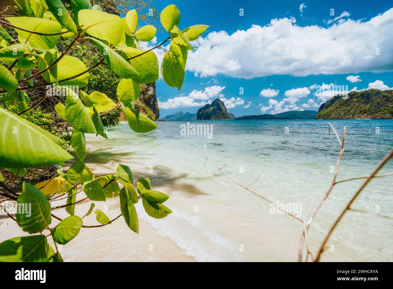 Leaves and secluded beach with view to Pinagbuyutan island. El Nido ...