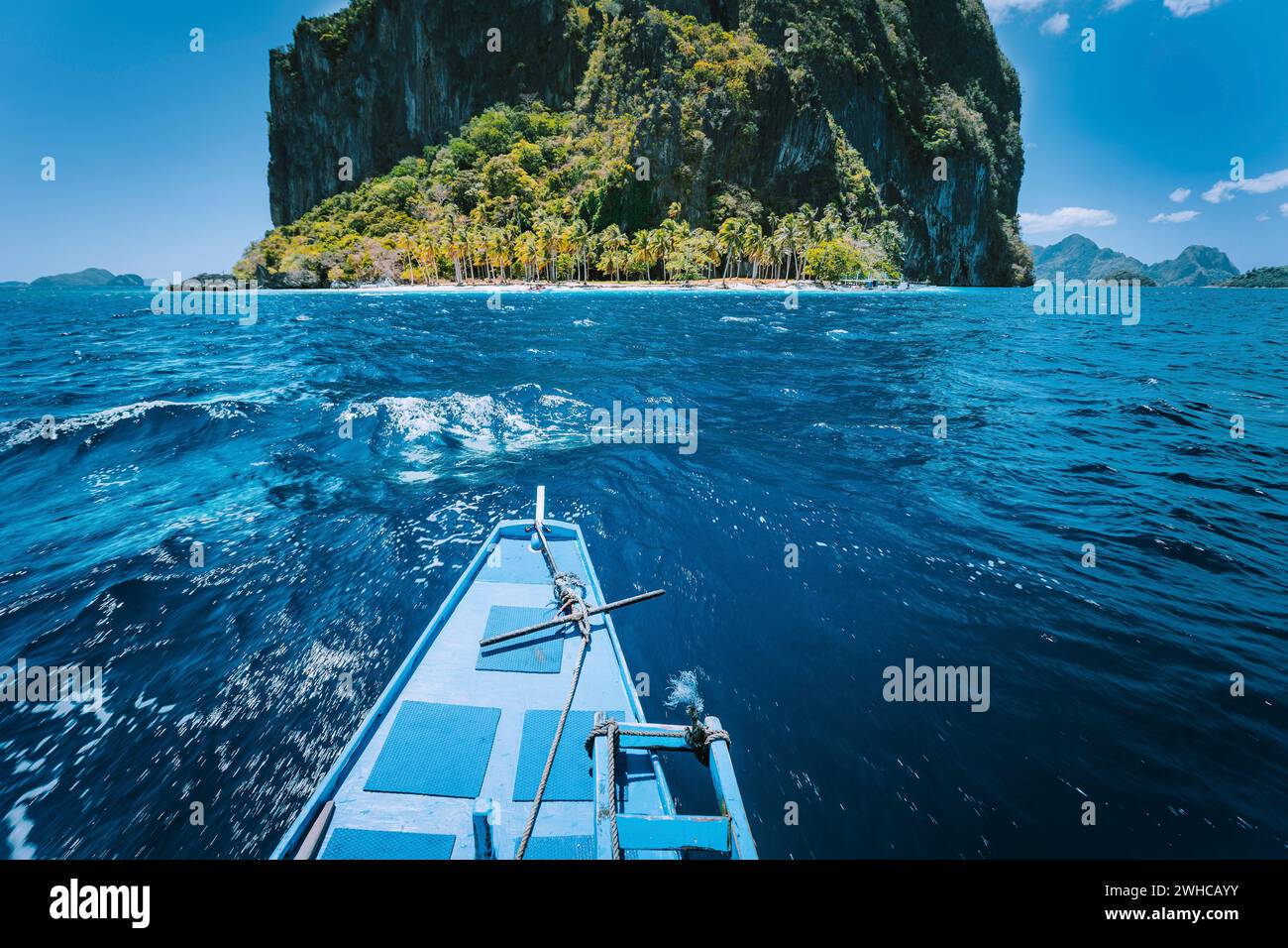 Coconut trees circular hi-res stock photography and images - Alamy