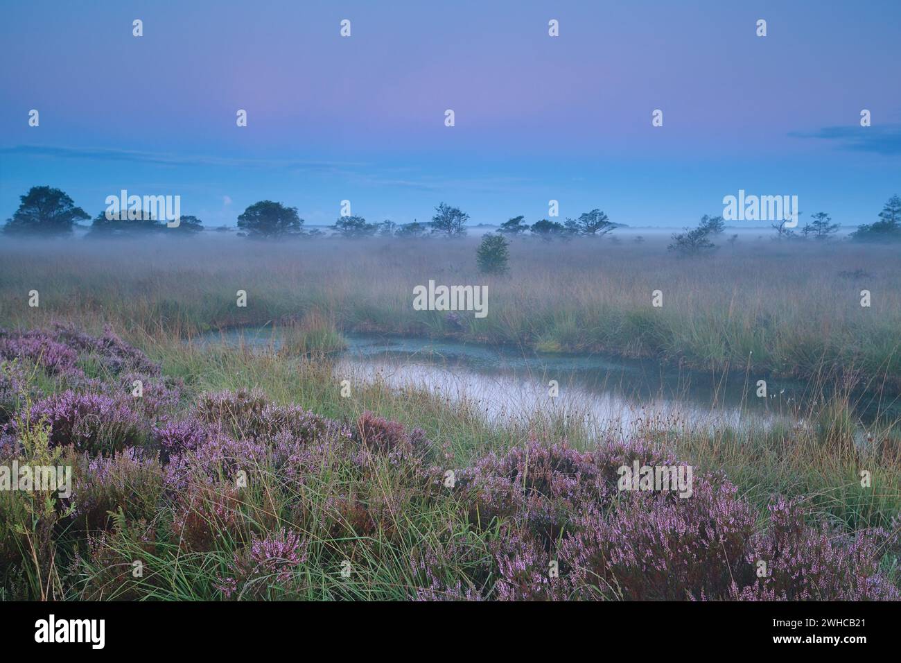 Beautiful morning sunrise over calm hi-res stock photography and images ...
