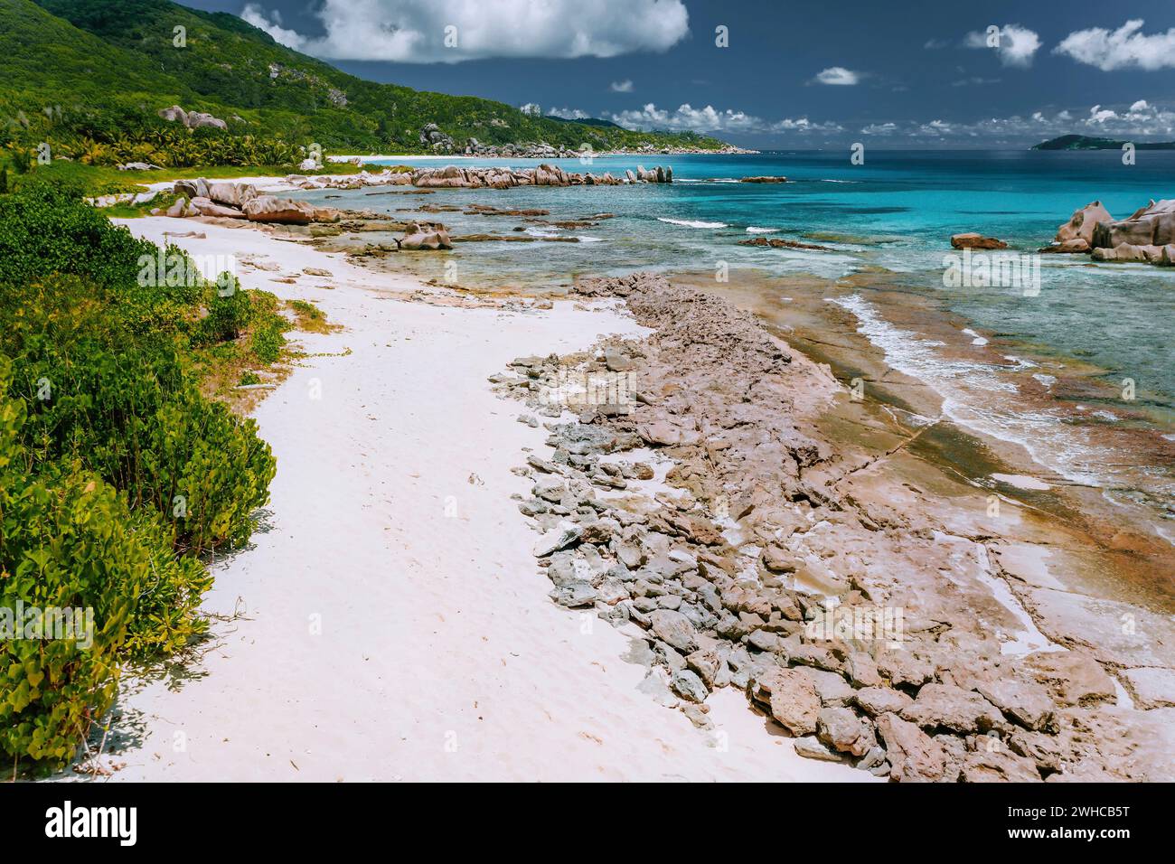Old coral reef in the white sand beach on secluded beach of grand anse ...