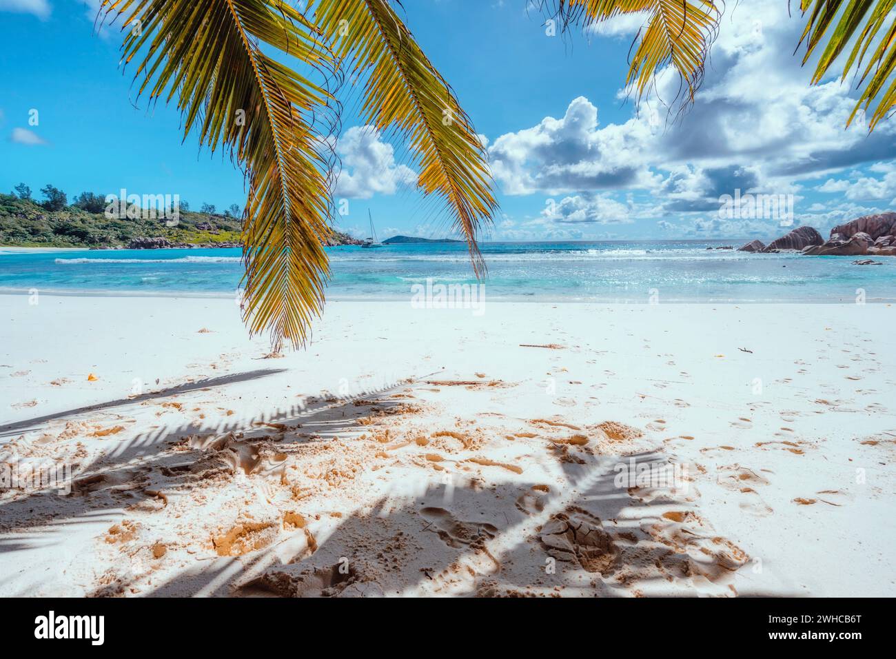 Palm leaf shadow at Anse Cocos tropical beach on la digue island ...