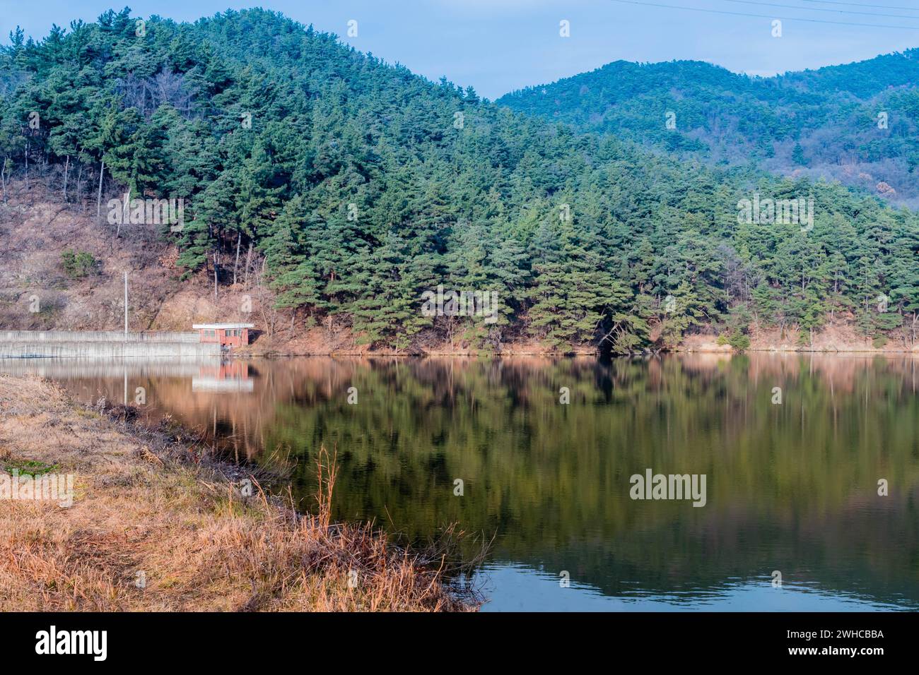 Landscape of beautiful lake in secluded valley with tree covered ...