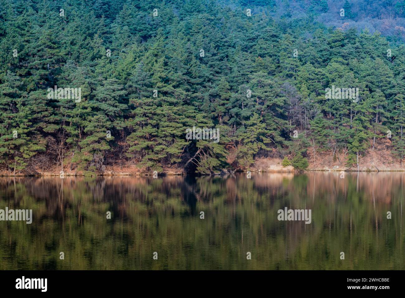 Landscape of beautiful lake in secluded valley with tree covered ...