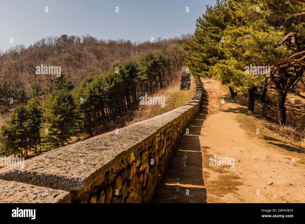 Dirt path behind top of Sandang Fortress wall lined with evergreen ...